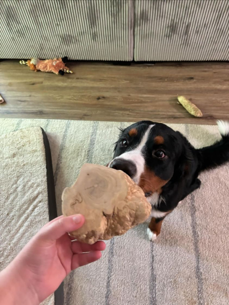Root Chews Made From Coffee Wood by Mumbies