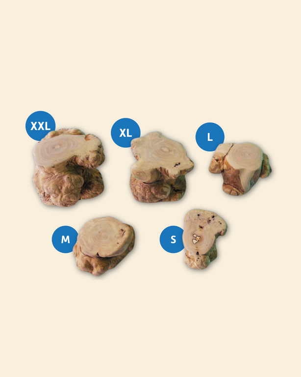 Root Chews Made From Coffee Wood by Mumbies