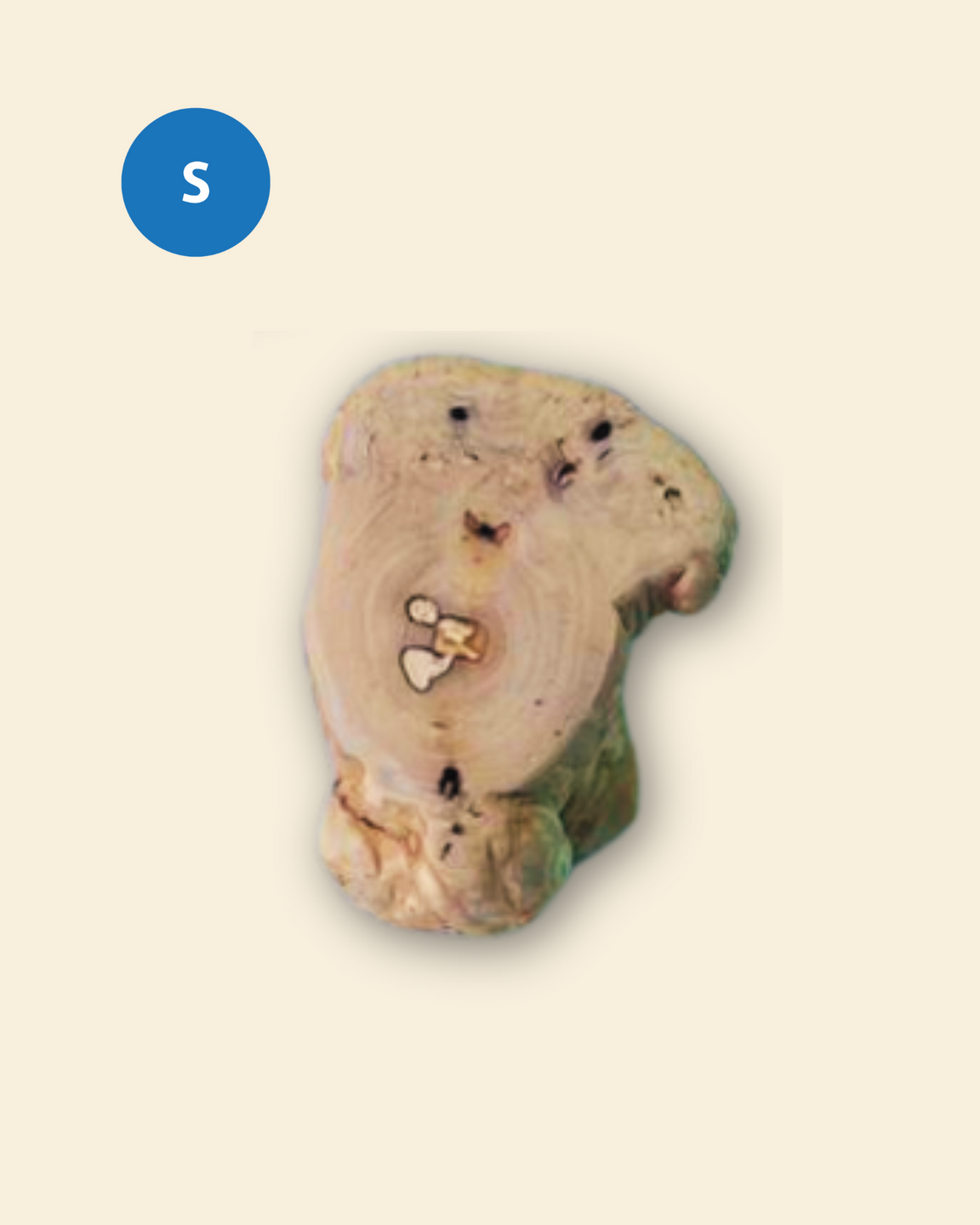 Root Chews Made From Coffee Wood by Mumbies